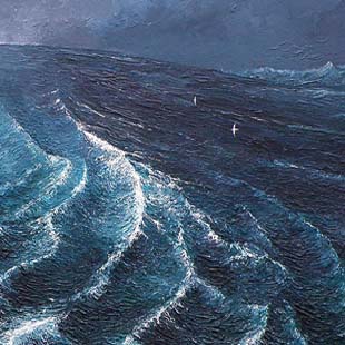 Chris Shields Wildlife Artist and Illustrator